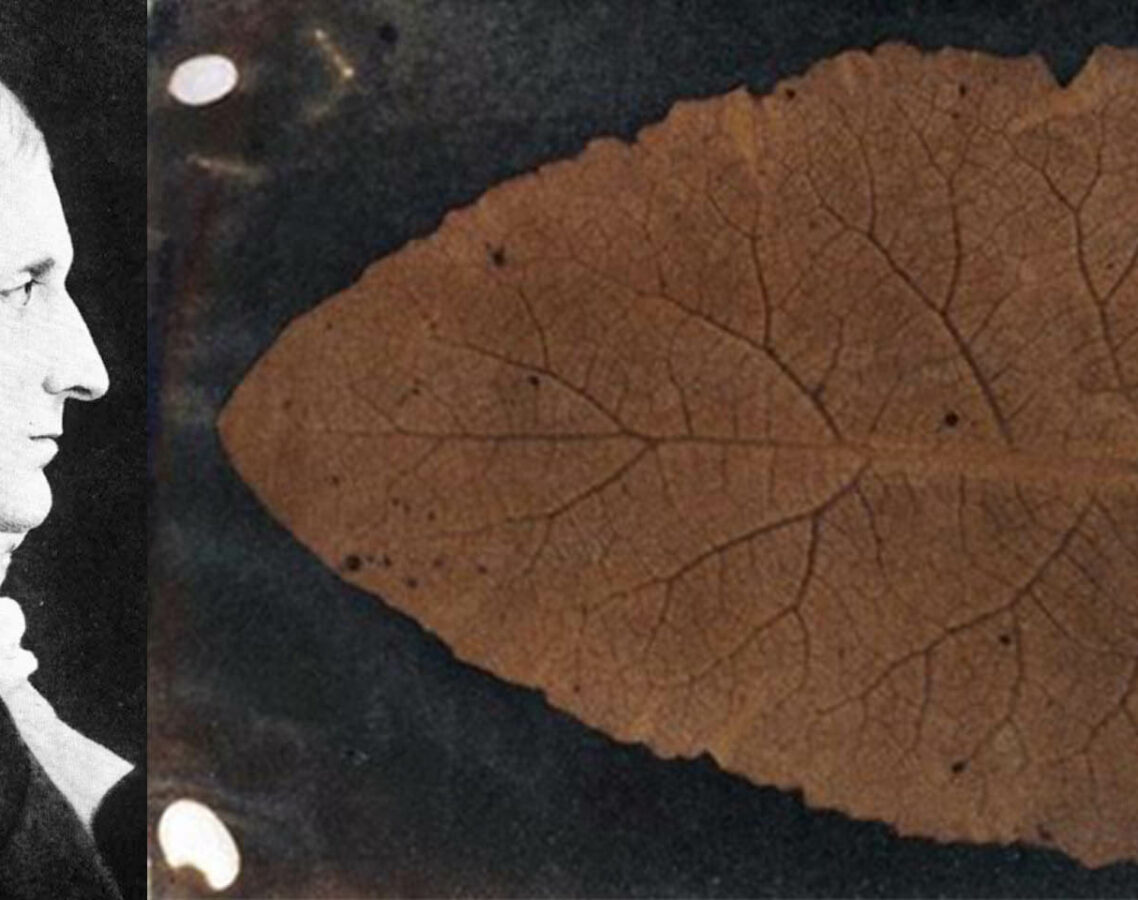 William Henry Fox Talbot: El Inventor del Calotipo